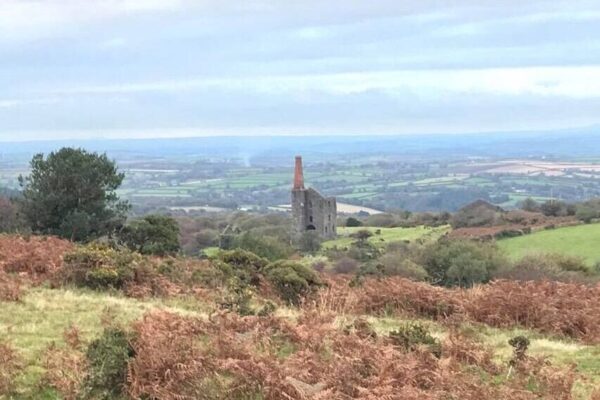 Minions Travel Guide | Things to Do, See & Explore