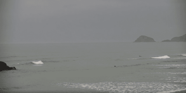 We found the 10 Best Webcams in Cornwall to Watch